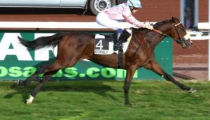 Unlocking The Mystery Of Le Don-PMU - Le Boss Du Turf